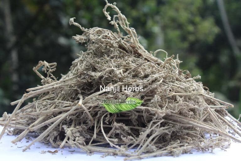 Marikolunthu Dried [Raw] – Nattu Marunthu Kadai